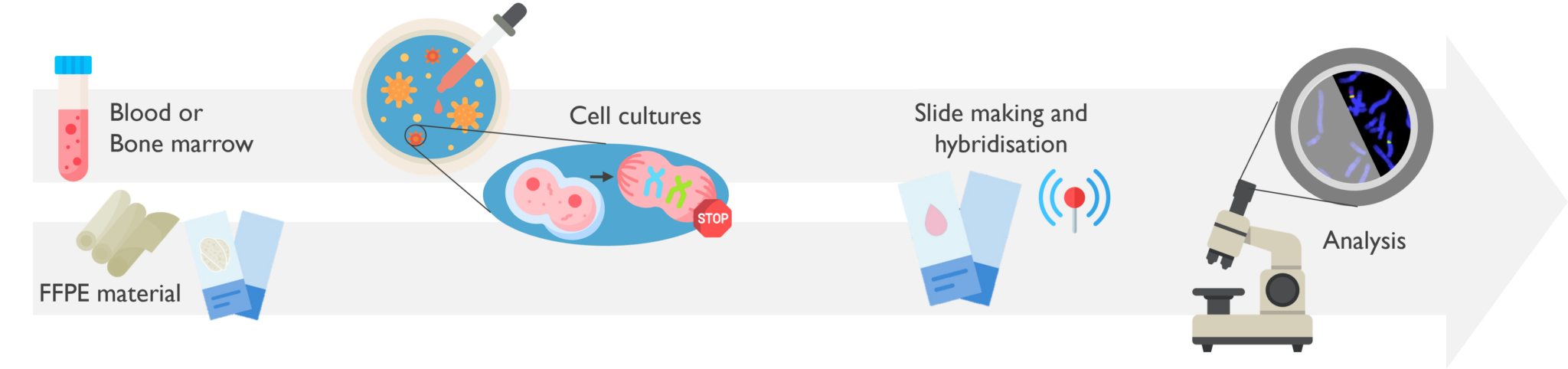 Laboratory Cancer Services - Newcastle Hospitals Laboratories