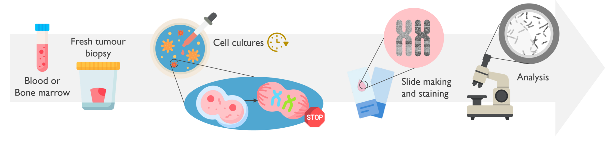 Laboratory Cancer Services - Newcastle Hospitals Laboratories