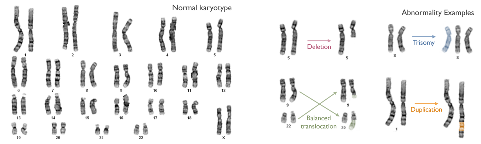 Laboratory Cancer Services - Newcastle Hospitals Laboratories