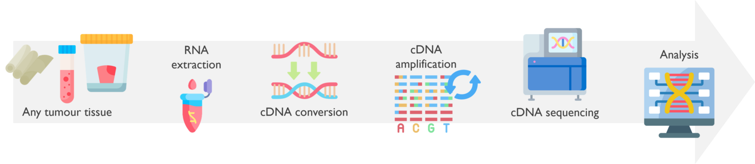 Laboratory Cancer Services - Newcastle Hospitals Laboratories