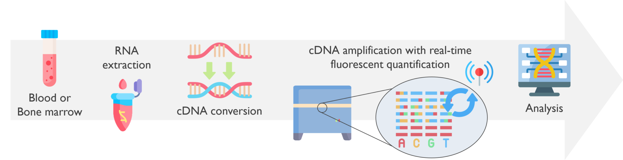 Laboratory Cancer Services - Newcastle Hospitals Laboratories