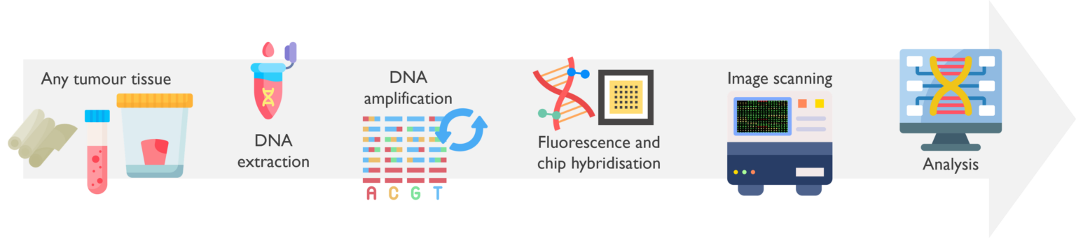 Laboratory Cancer Services - Newcastle Hospitals Laboratories