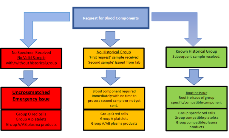 Compatibility testing - Newcastle Hospitals Laboratories