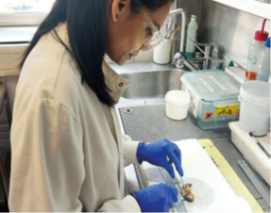 For Patients - Newcastle Hospitals Laboratories